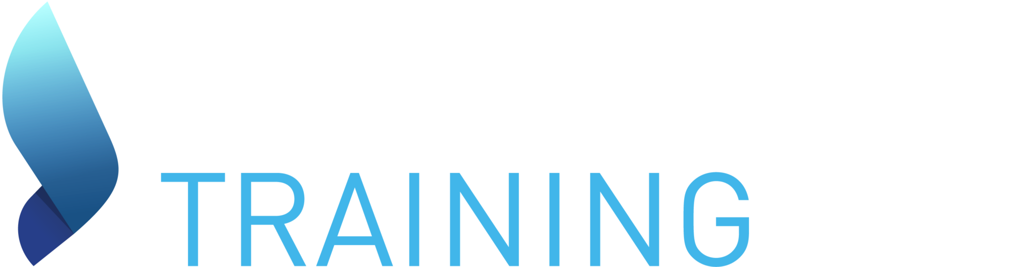 BSAT Airport Security Training | Butterfly Training